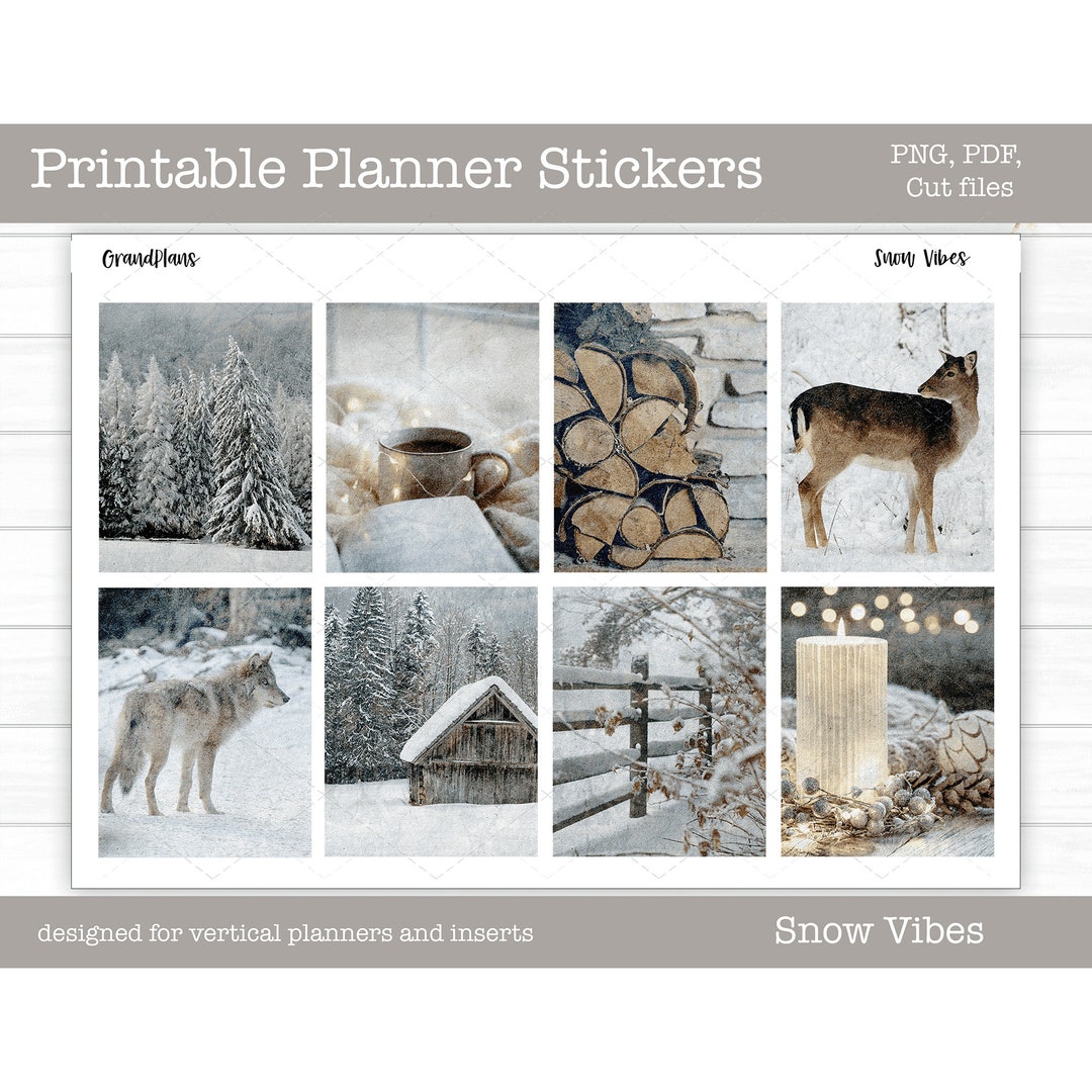 Winter Printable Planner Stickers, Snow Vibes Weekly Kit, Erin Condren ...