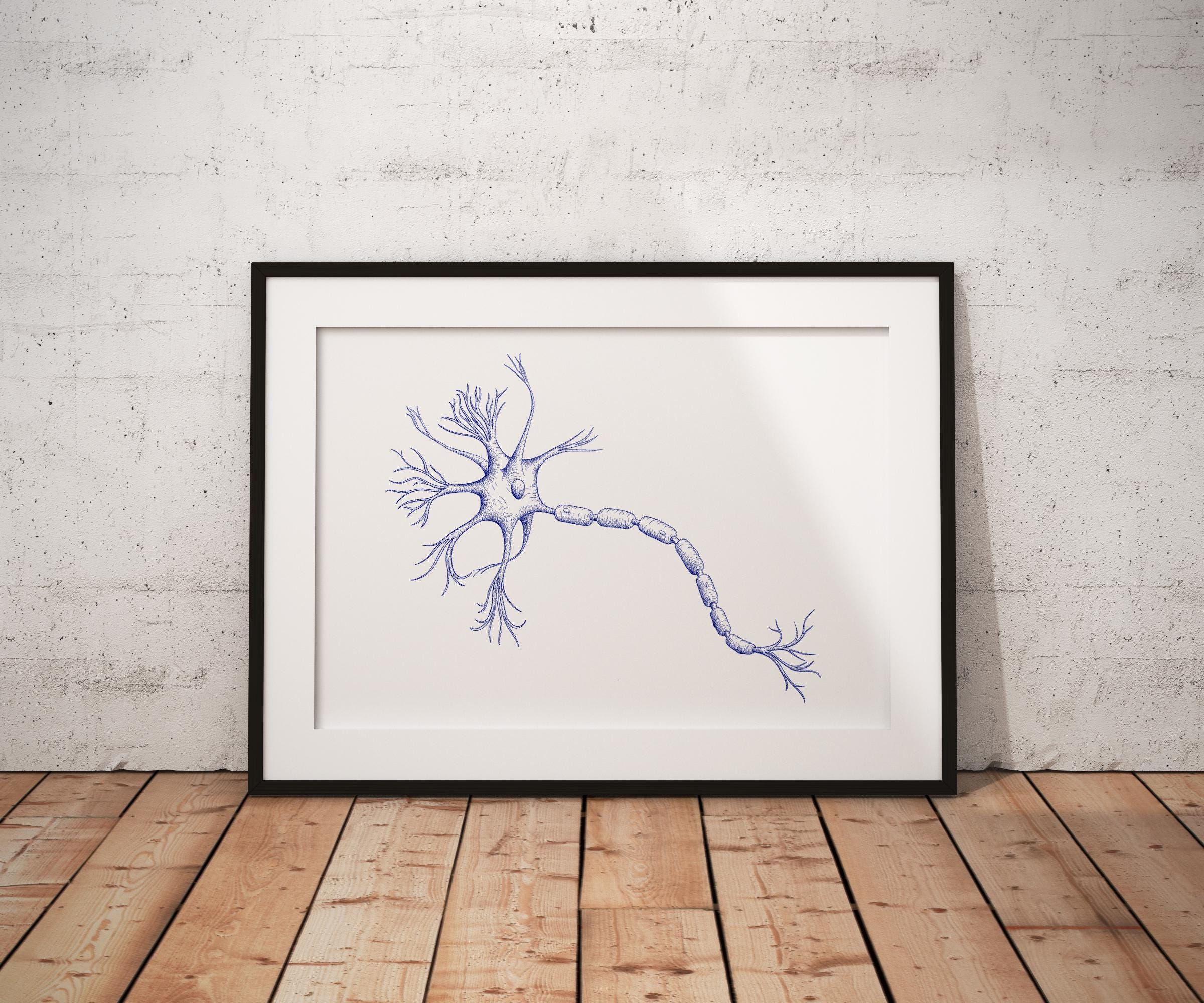 Neuron Illustration - Digital Download - Etsy