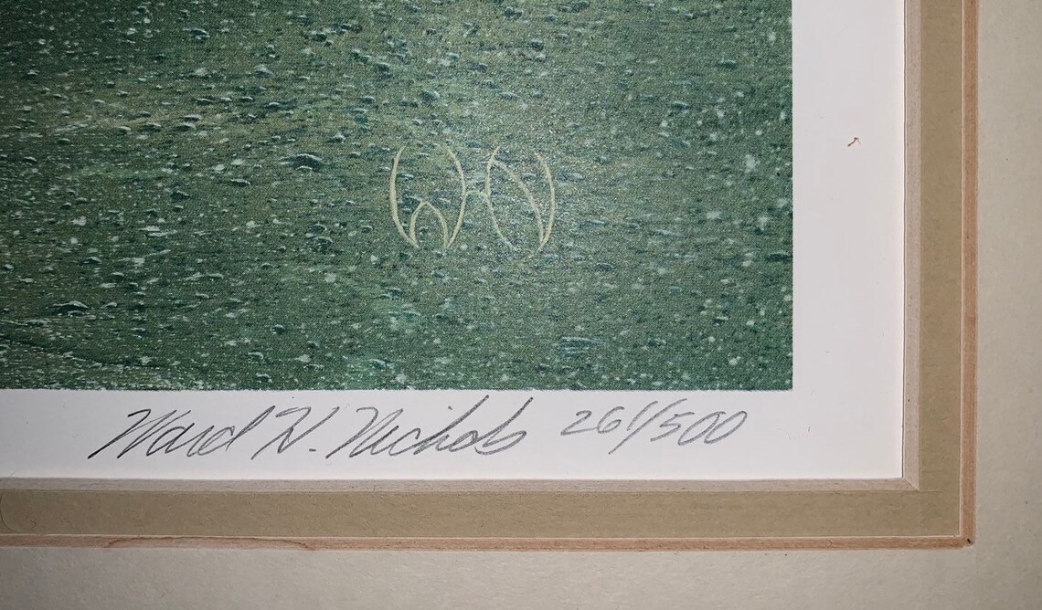 Castaway by artist Ward H. Nichols A RARE 1976 Limited | Etsy