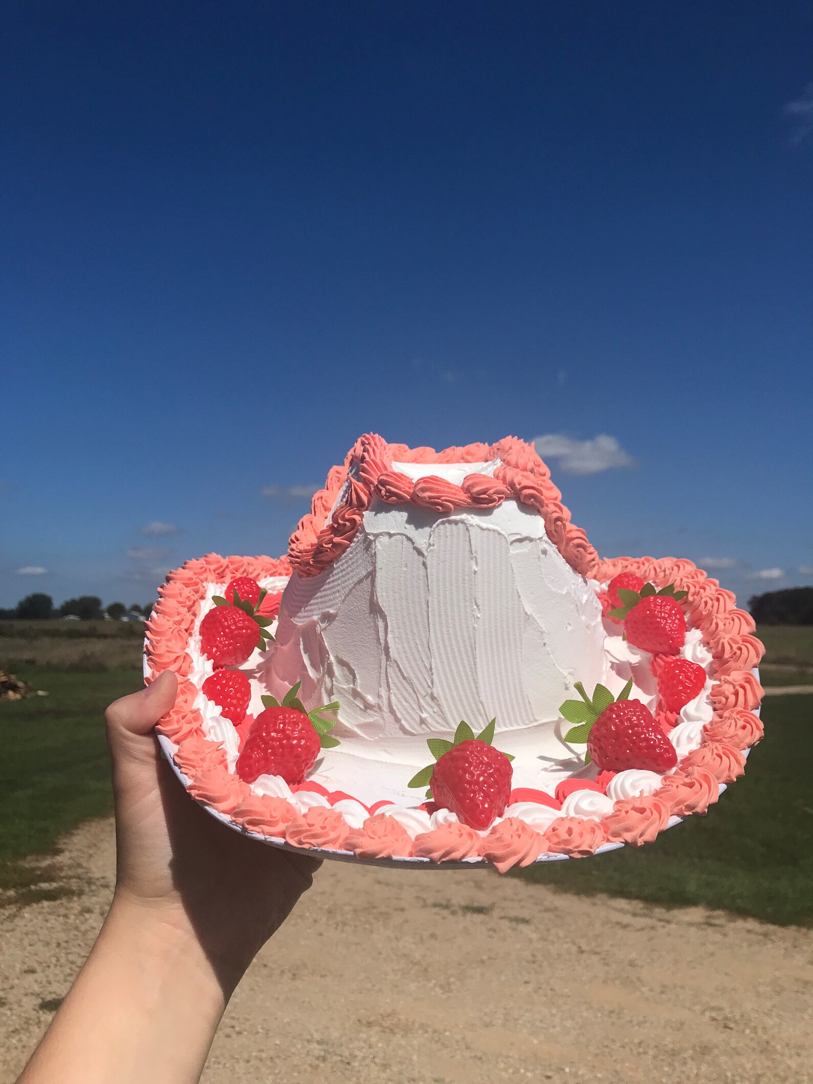 Frosted Cake Cowboy Hat/ Kawaii Cowboy Hat/ Cute Cake Accessories ...