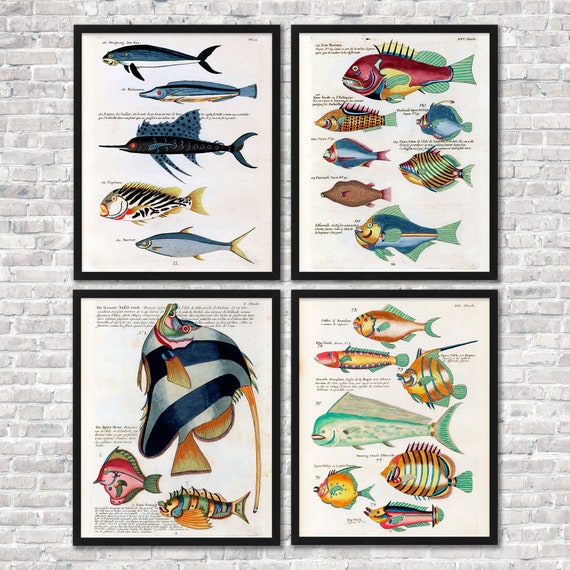 Vintage Fish and Ocean Collage Print Set Giclee Prints Fish | Etsy