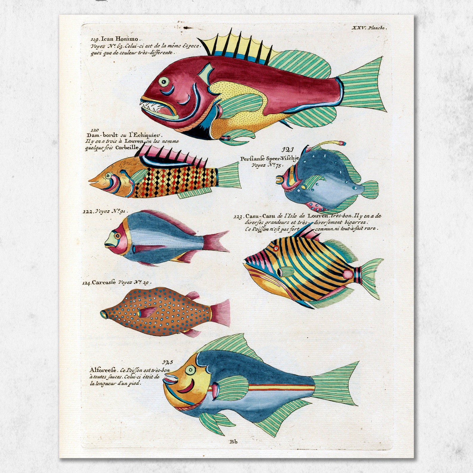 Vintage Pescado y Océano Collage Impresión Set Giclee | Etsy