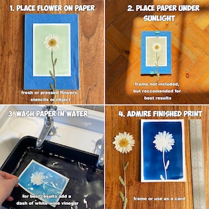 Cyanotype Kit: Easy to Use Sun Printing Kit by Daisy Bow Craft - Etsy