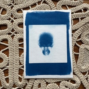 Cyanotype Skull X-ray Print - Etsy UK