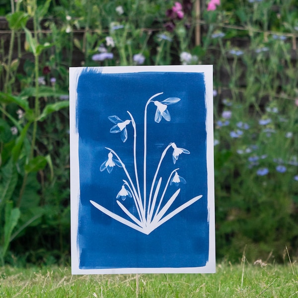 Cyanotype Print - Etsy