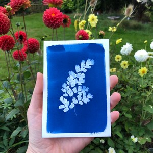 Daisy Cyanotype Print for Plant Lovers - Etsy