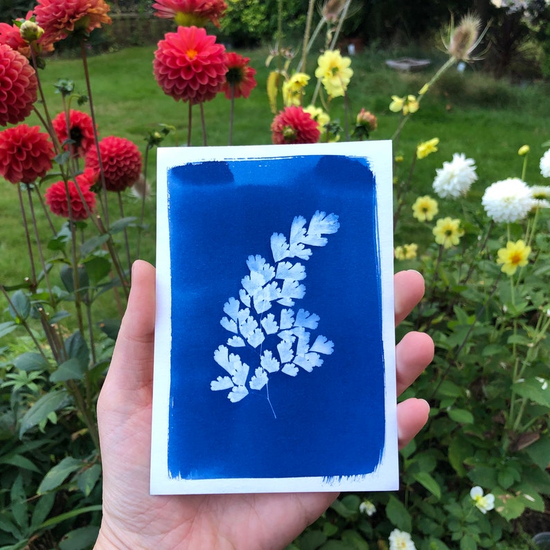 Daisy Cyanotype Print for Plant Lovers - Etsy