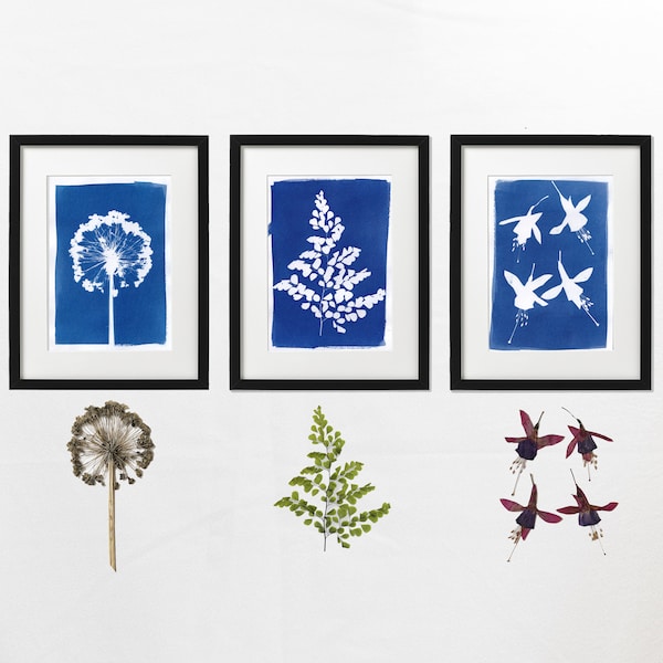Cyanotype Print - Etsy