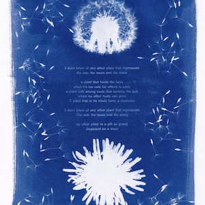 Dandelion Cyanotype Print, the Sun, the Moon and the Stars - Etsy