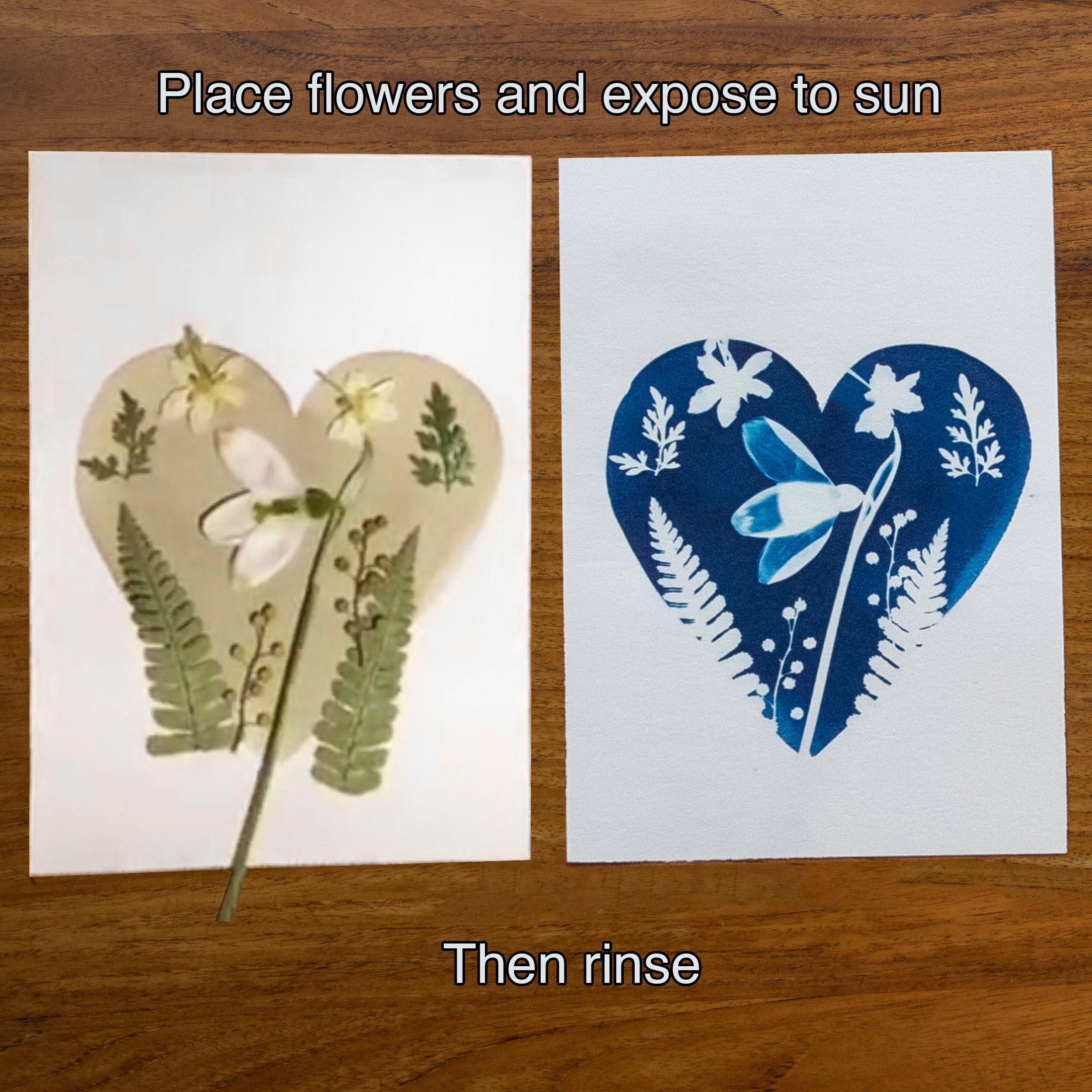 Love Themed Cyanotype Flower and Plant Sun Printing Kit - Etsy UK
