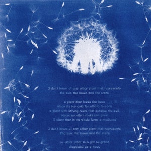 Dandelion Cyanotype Print, the Sun, the Moon and the Stars - Etsy
