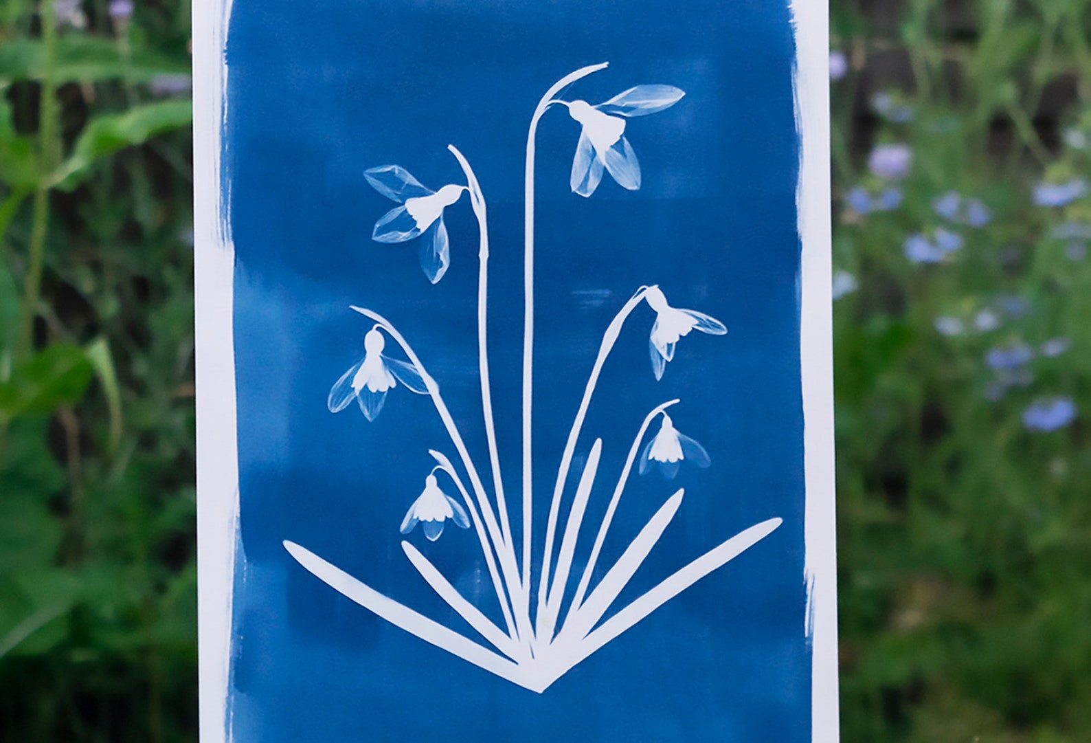 A4 Snowdrop Blue Cyanotype Print | Etsy