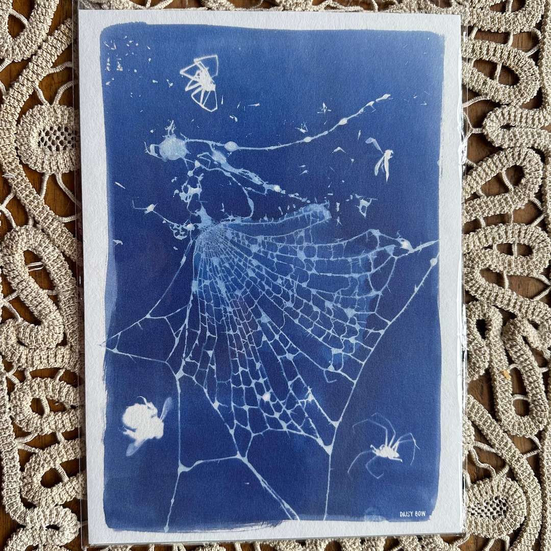 Real Spider Web Cyanotype Print - Etsy UK