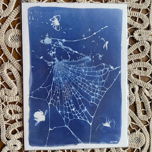 Real Spider Web Cyanotype Print - Etsy UK