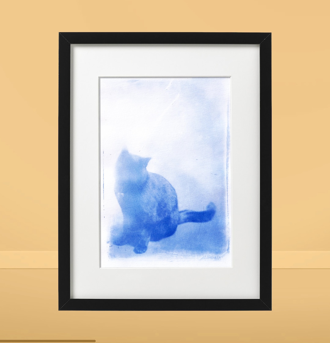 Cat Cyanotype - Antique Glass Photo - Etsy