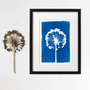 Cyanotype Print - Etsy UK