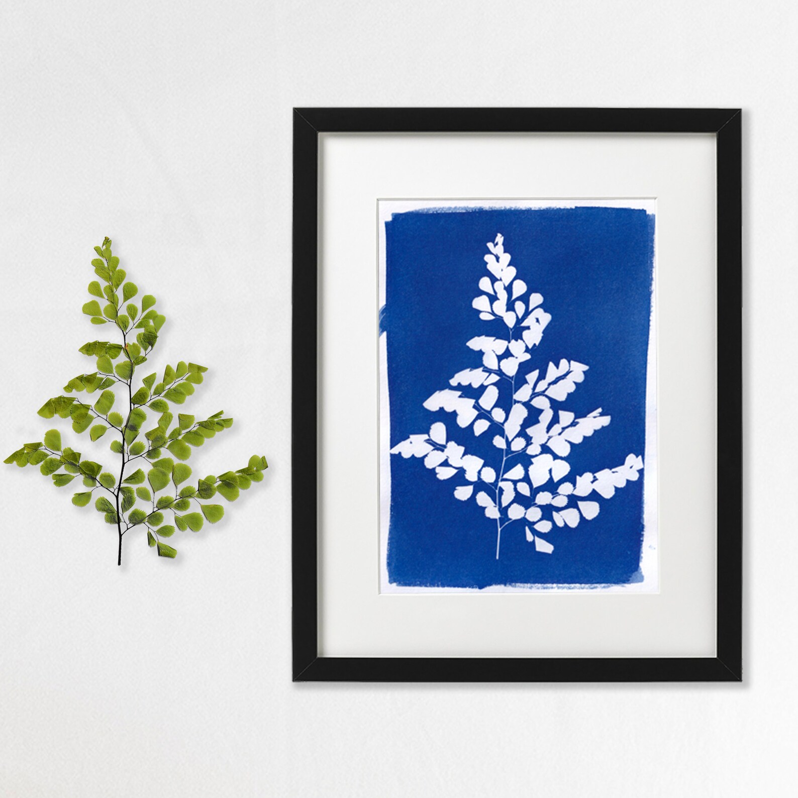 Daisy Cyanotype Print for Plant Lovers - Etsy