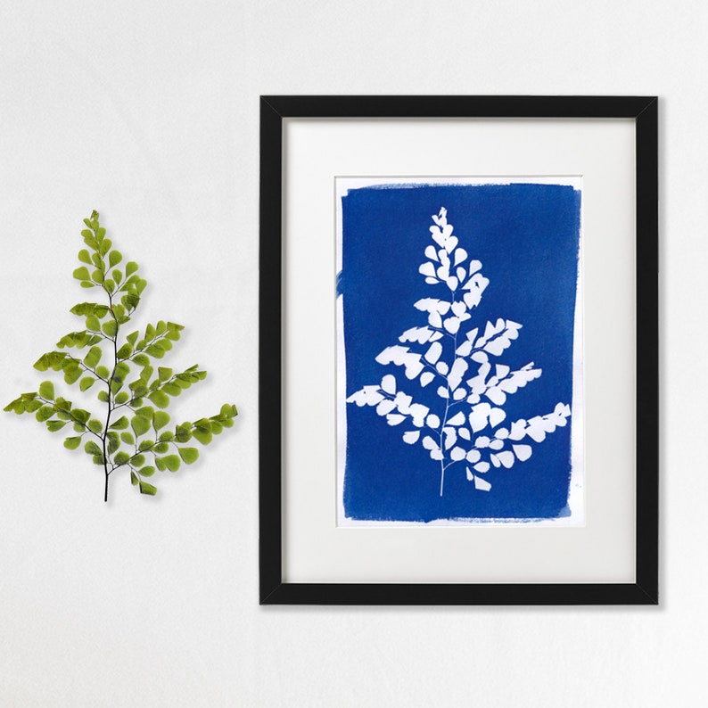 Daisy Cyanotype Print for Plant Lovers - Etsy