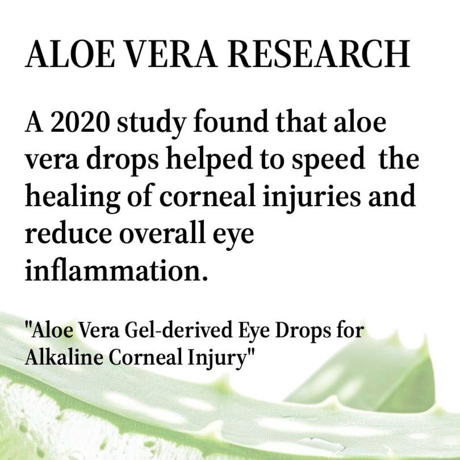 Organic Eye Drops: Aloe Eyes - Etsy