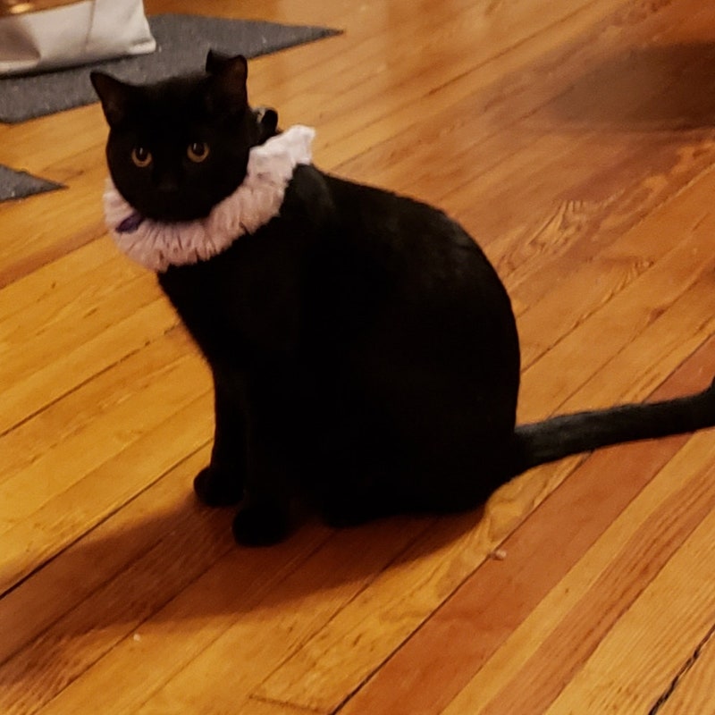 Elizabethan Ruff - Etsy