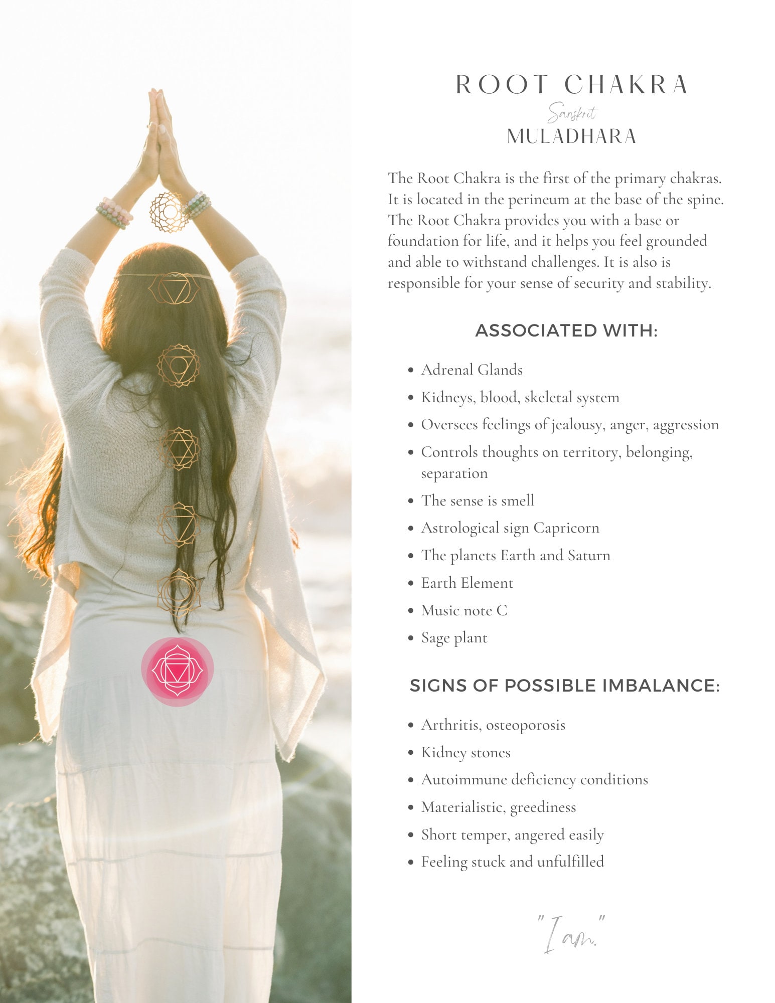 Introduction to Chakra's Workshop Ebook. 35 Page Beautiful Designed Workbook Detailing ...