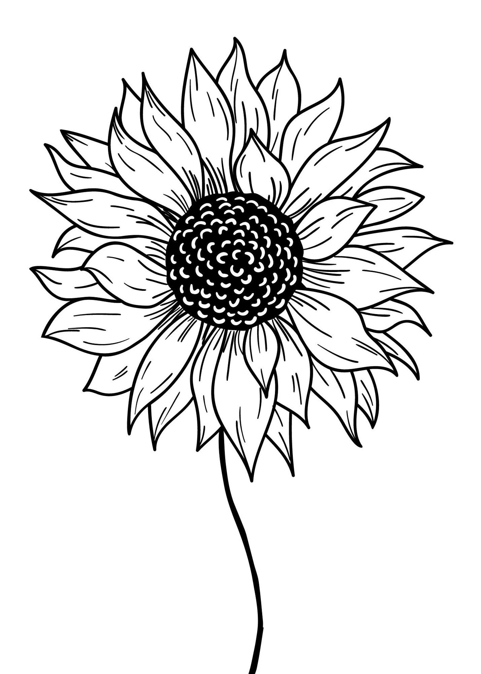 Floral Coloring Page - Etsy