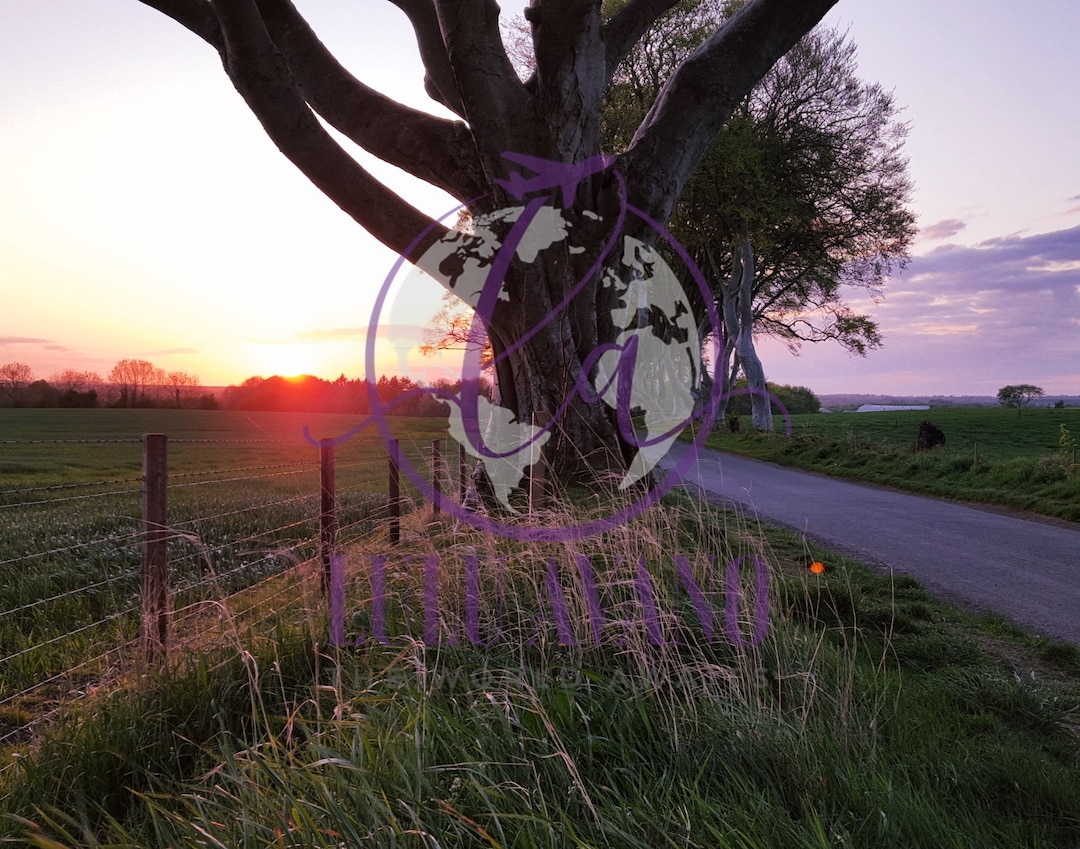Dark Hedges | Downloadable Printable Art | Wall Art | Landscape ...