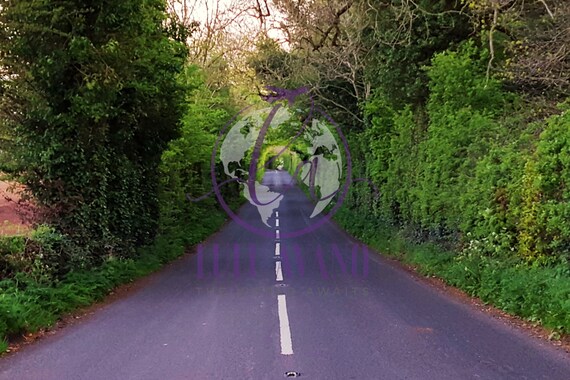 Tree Tunnel Downloadable Printable Art Wall Art Urban | Etsy