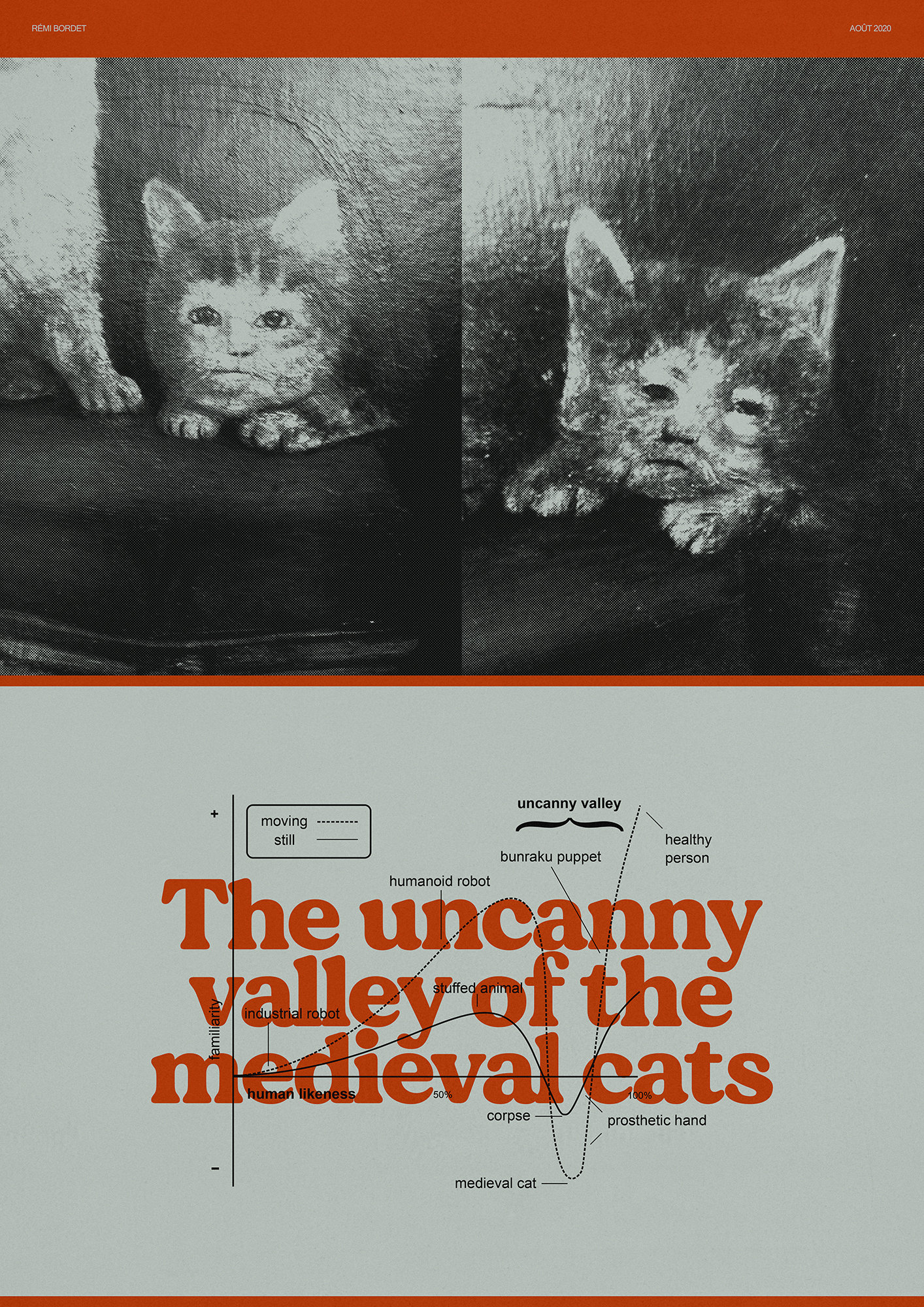 The Uncanny Valley of the Medieval Cats - Etsy