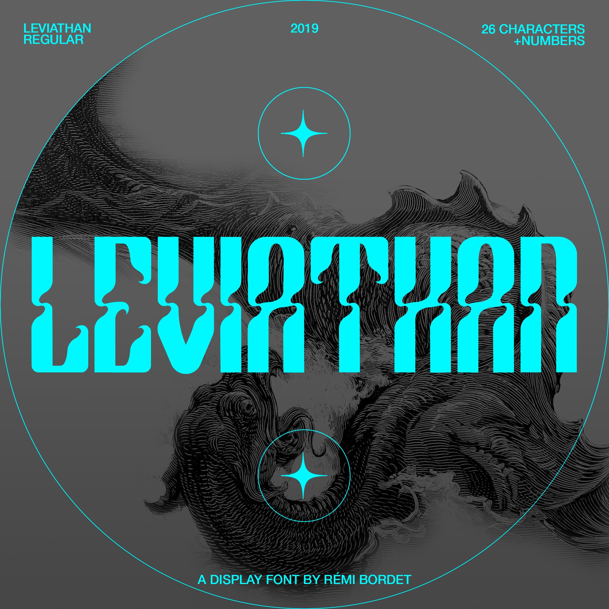 Leviathan Typeface | Etsy