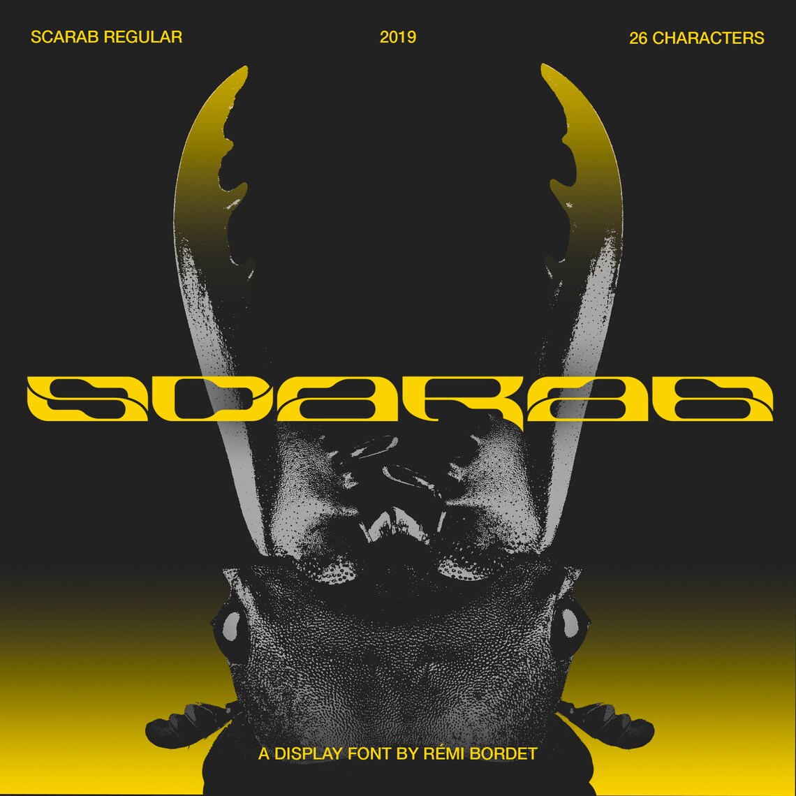 Scarab Typeface - Etsy