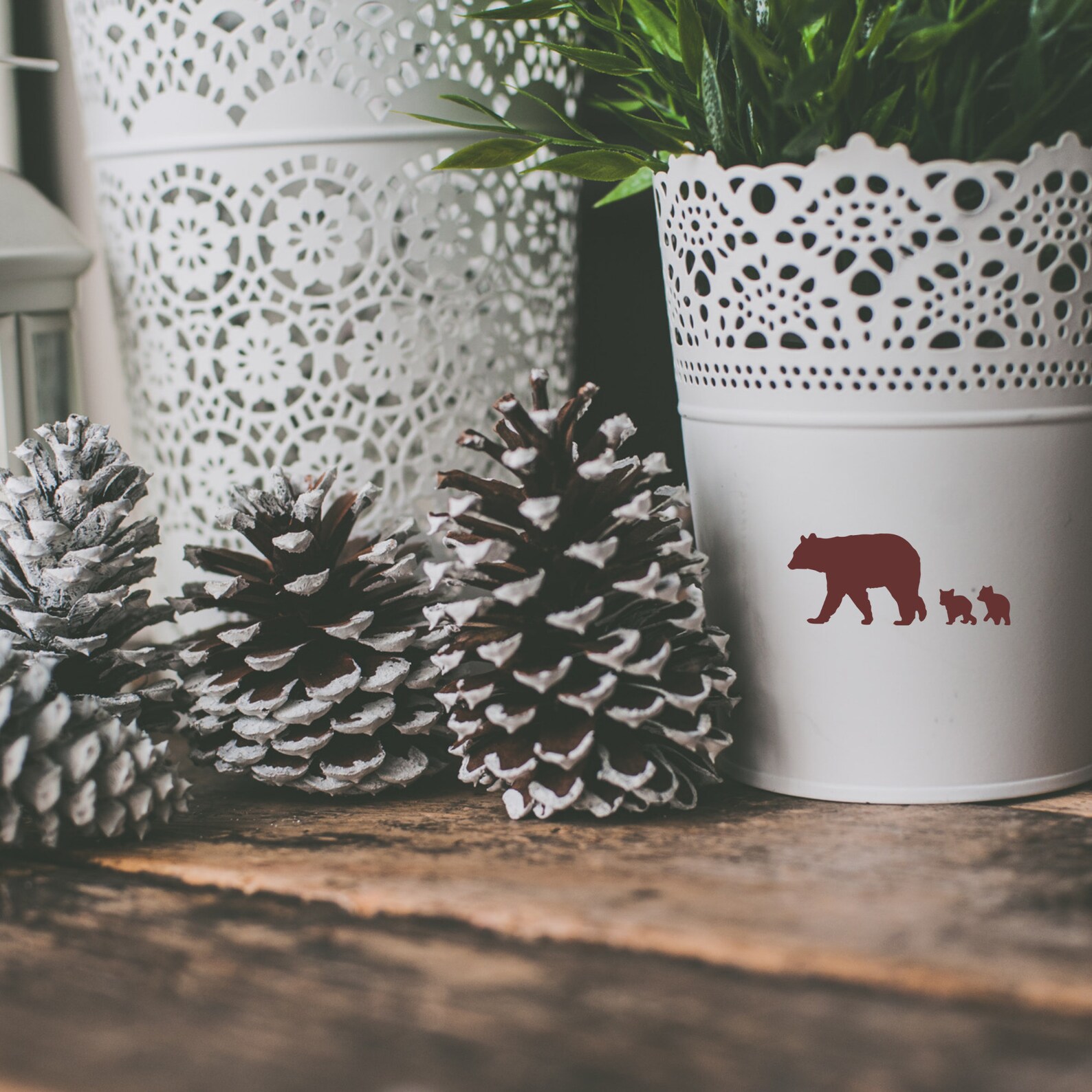 Momma Bear Vinyl Decalmama Bear Vinyl Decalbear Vinyl - Etsy