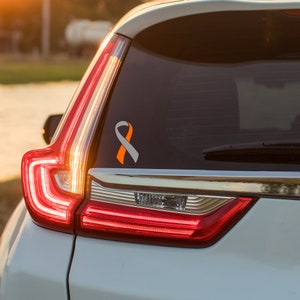 Multi Color Cancer Ribbon,two Color Cancer Ribbon,multiple Color ...