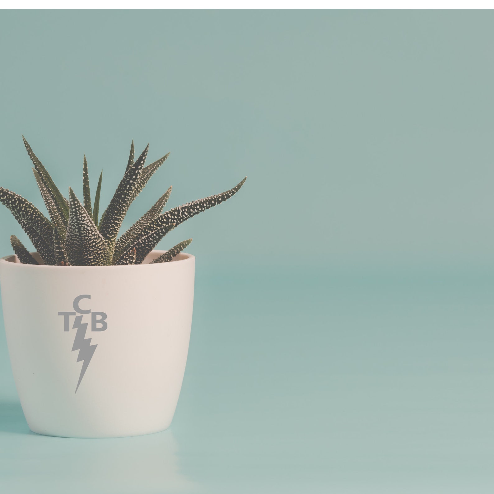 Elvis TCB Decal,taking Care of Business Decal,tcb Decal,elvis Presley ...