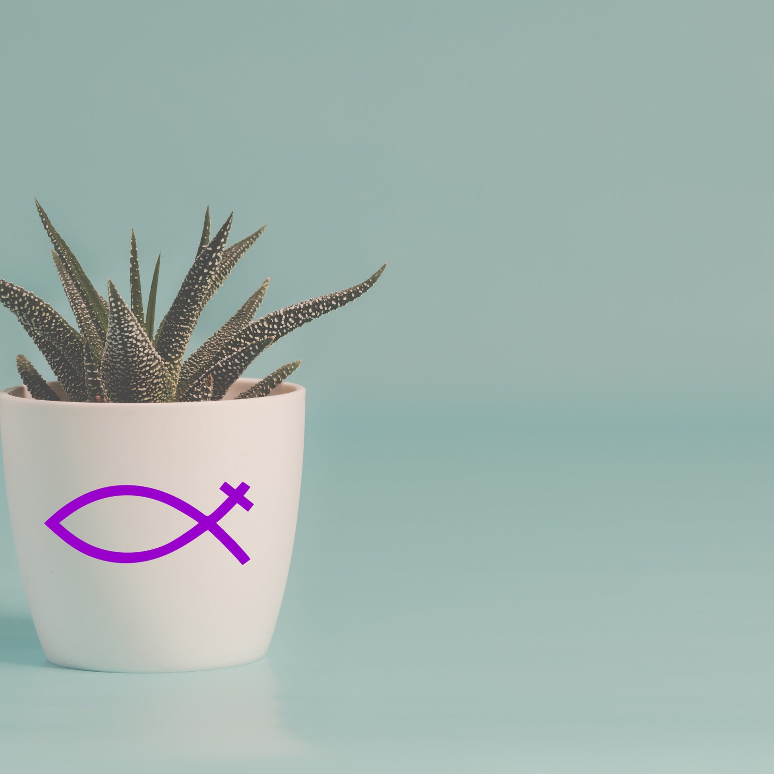 Christian Fish Vinyl Decaljesus Vinyl Decalchristian Fish - Etsy