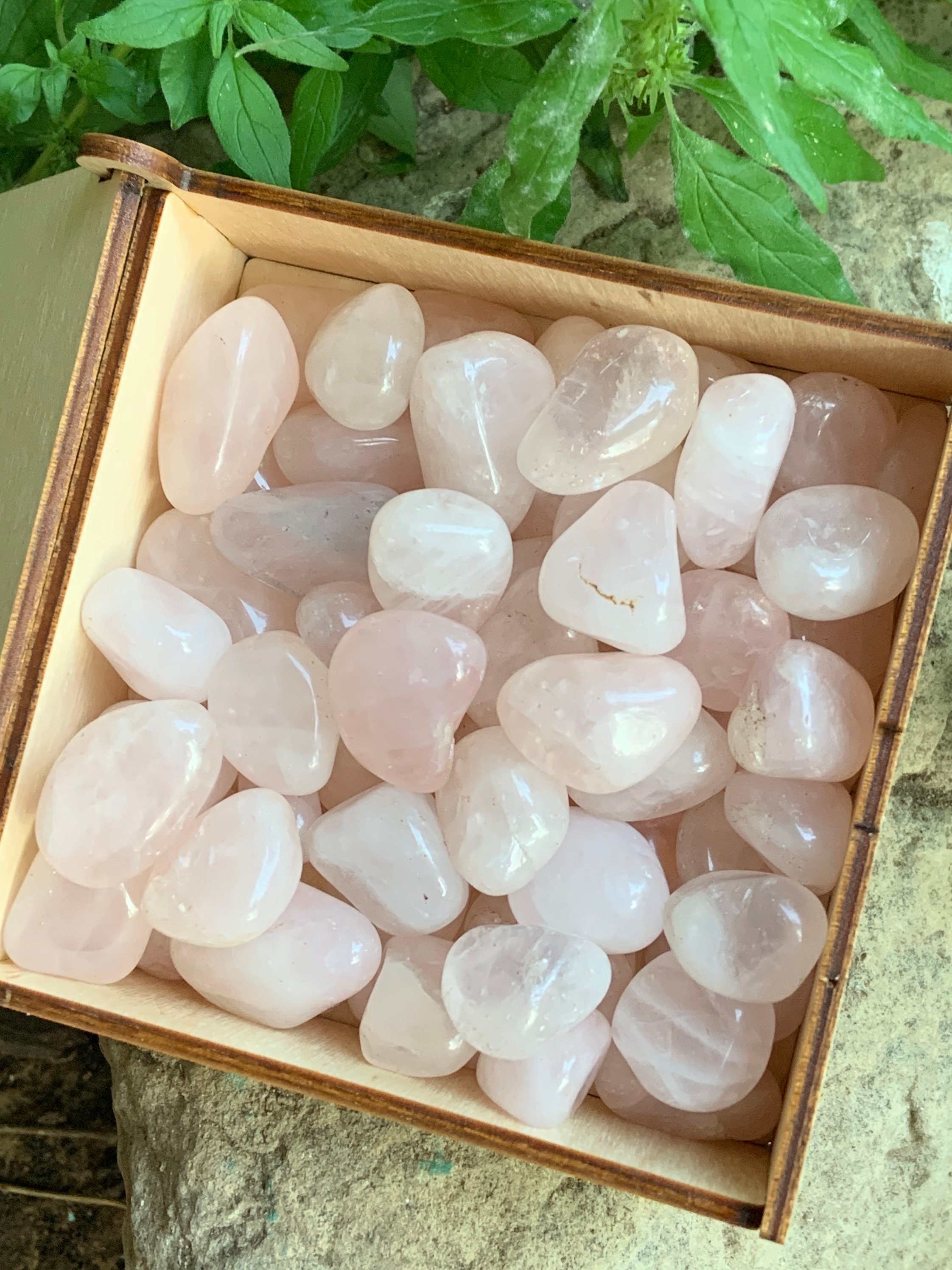 Rose Quartz Tumbled Stone 1 | Etsy