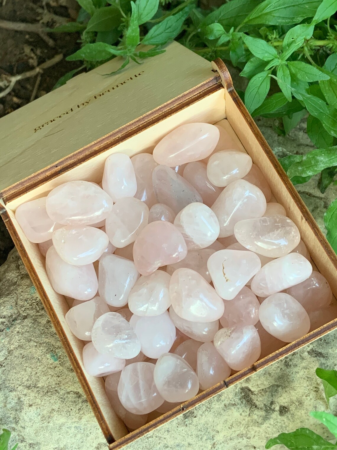 Rose Quartz Tumbled Stone 1 | Etsy