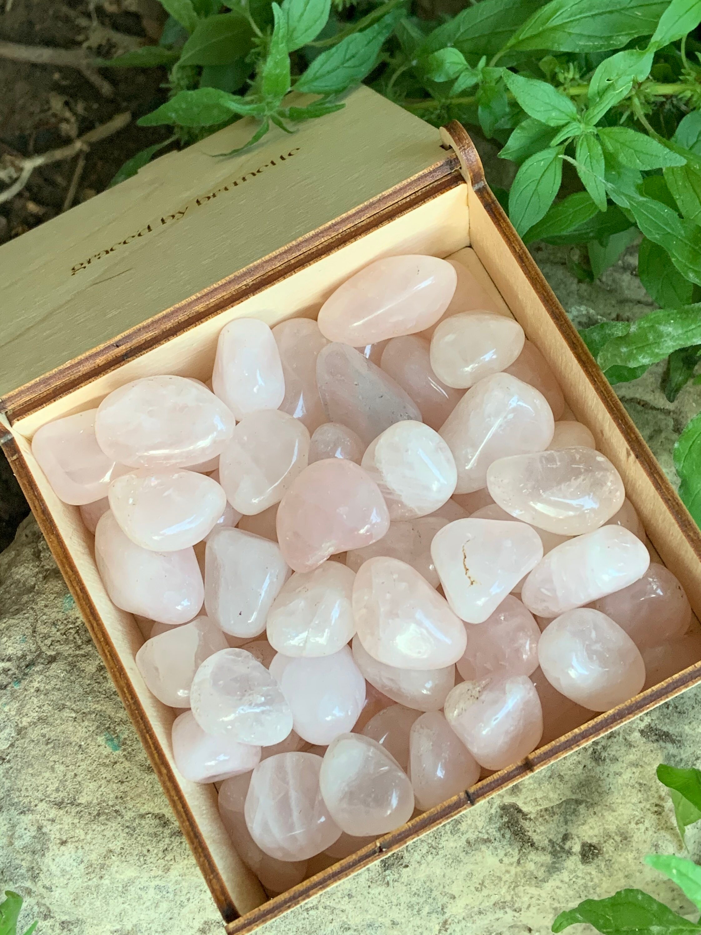 Rose Quartz Tumbled Stone 1 | Etsy