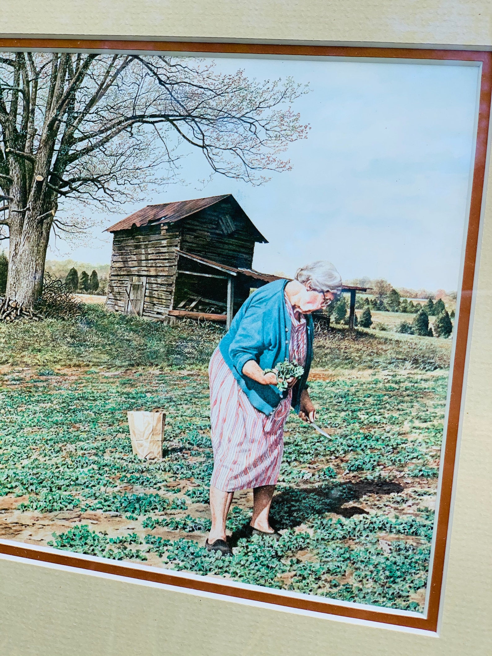 Vintage 1994 Mel Steele turnip Greens Lithograph - Etsy