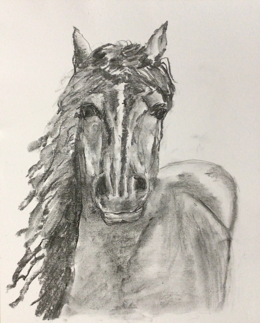 Friesian Horse, Original Charcoal Drawing on Paper, 11 X 14 Inches ...
