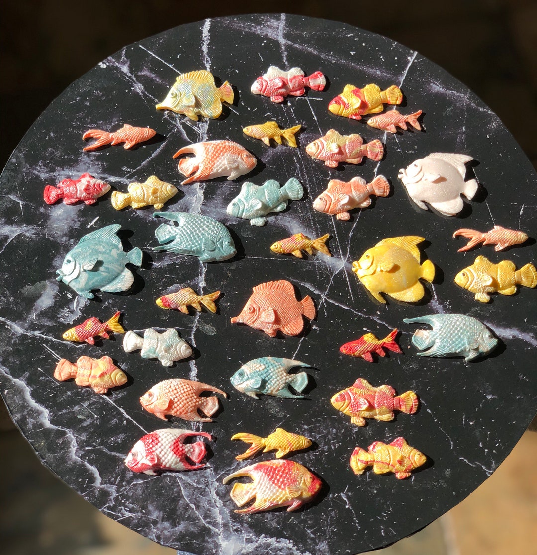 Edible Tropical Fish Set. 20 Pieces of Various Designs of - Etsy
