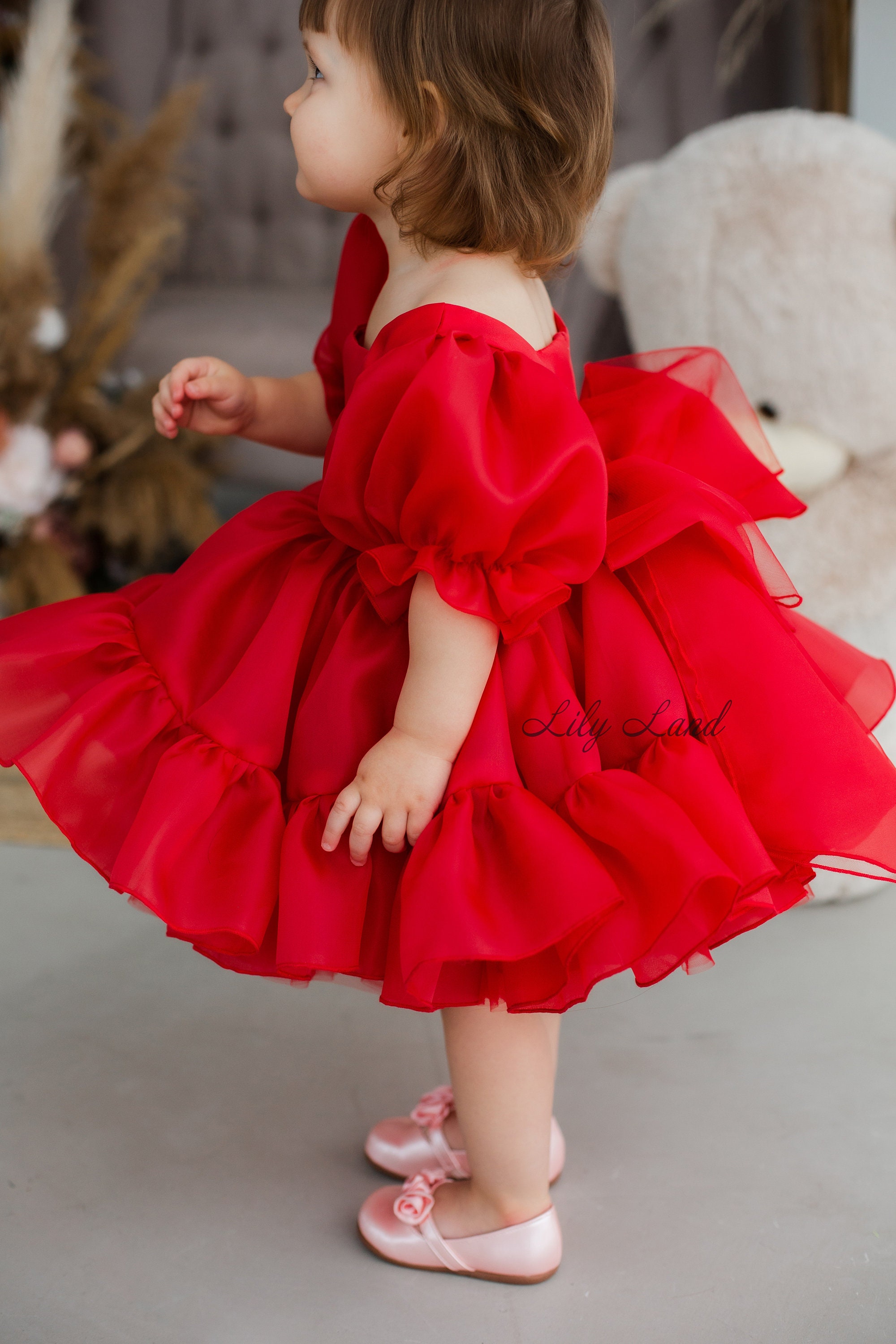 Red 1st Birthday Dress, Tutu Prom Gown, Puffy Flower Girl Dress, Party ...