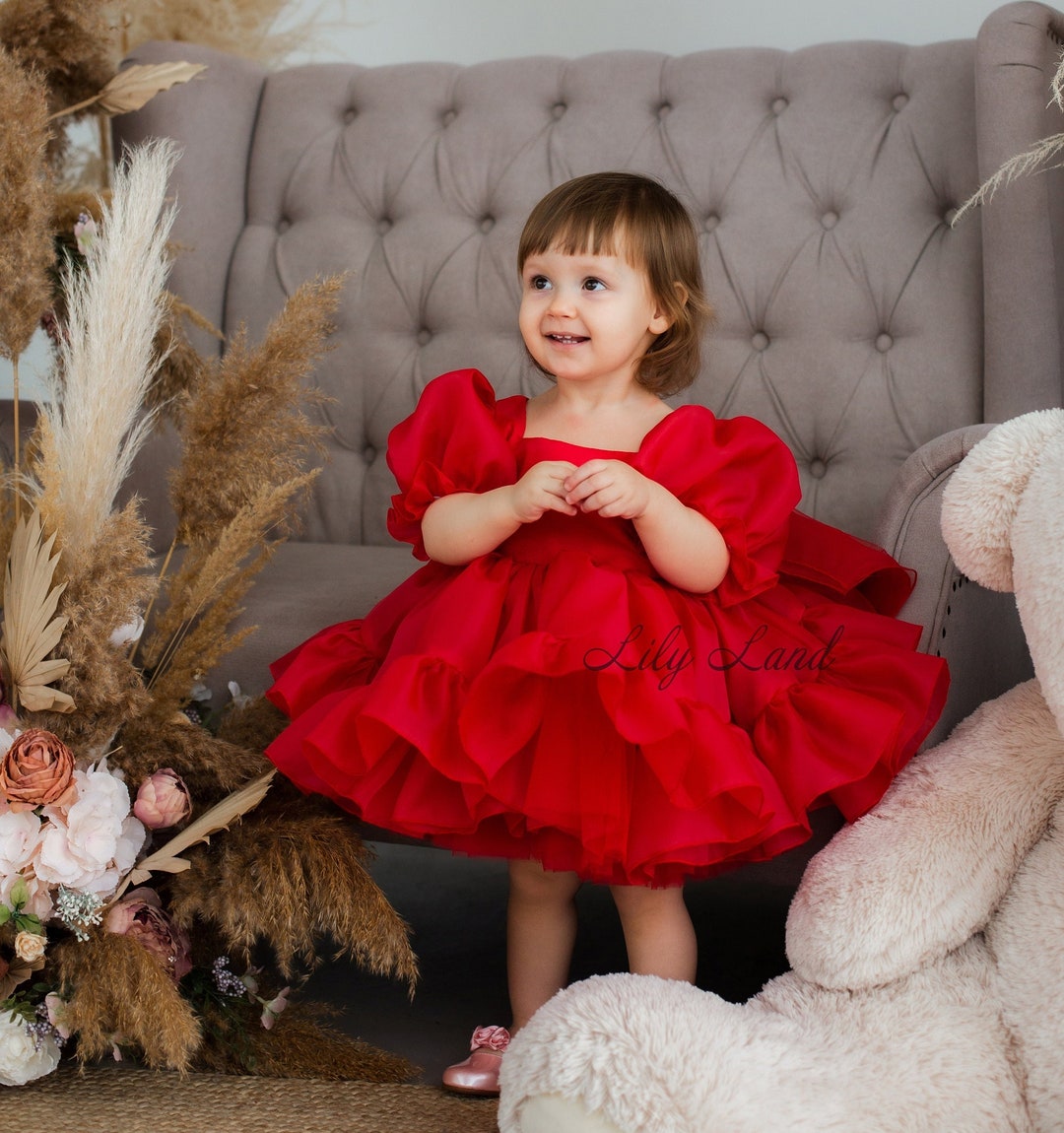 Red 1st Birthday Dress, Tutu Prom Gown, Puffy Flower Girl Dress, Party ...
