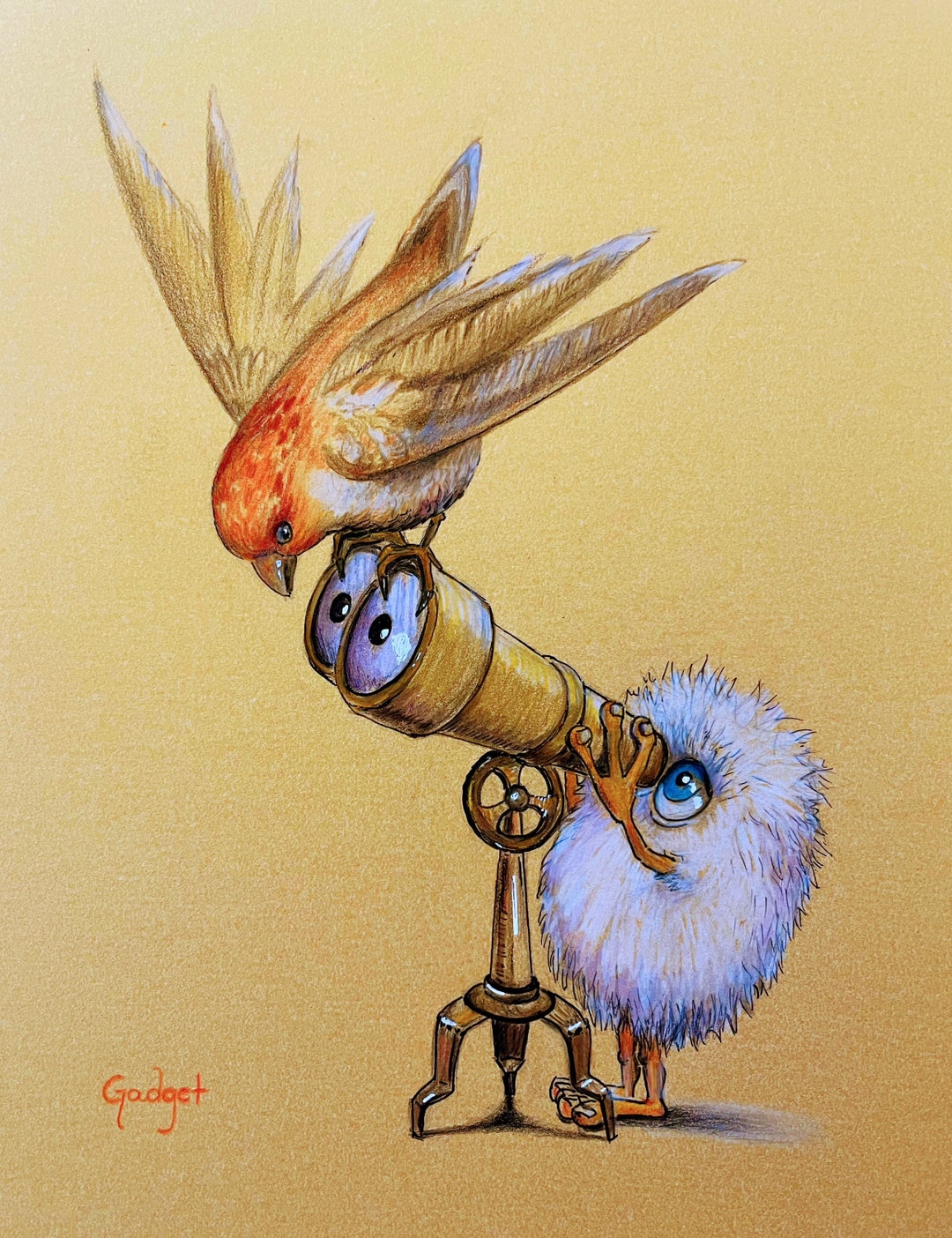A Finch Peeping Fiffle ( Plak Mount Print) - Etsy