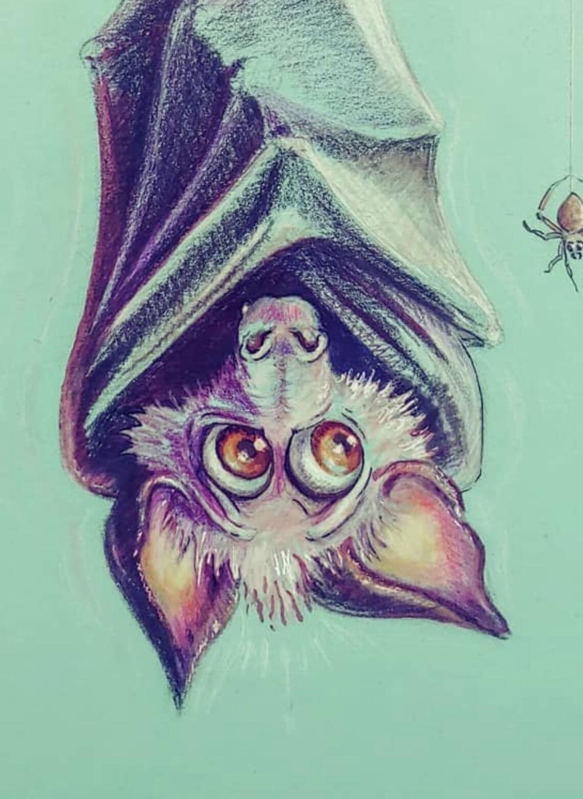 Francine the Frightened Fruit Bat - Etsy