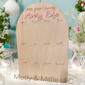 My First Year One Year of Photo Board Wooden Milestone Board 1st ...