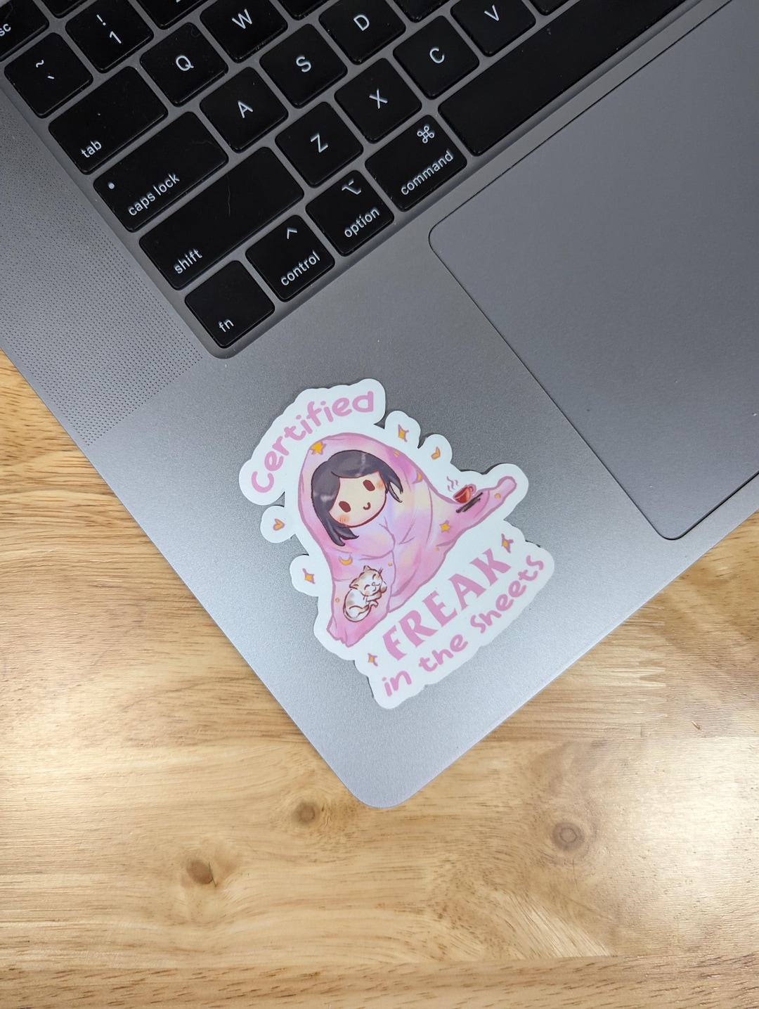 Freak in the Sheets Meme Sticker Handmade Vinyl Sticker Laminated Gift ...