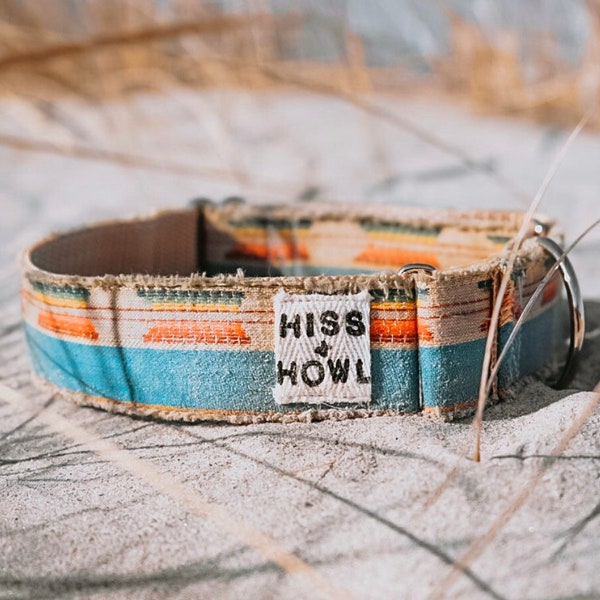 Turquoise Dog Collar - Etsy