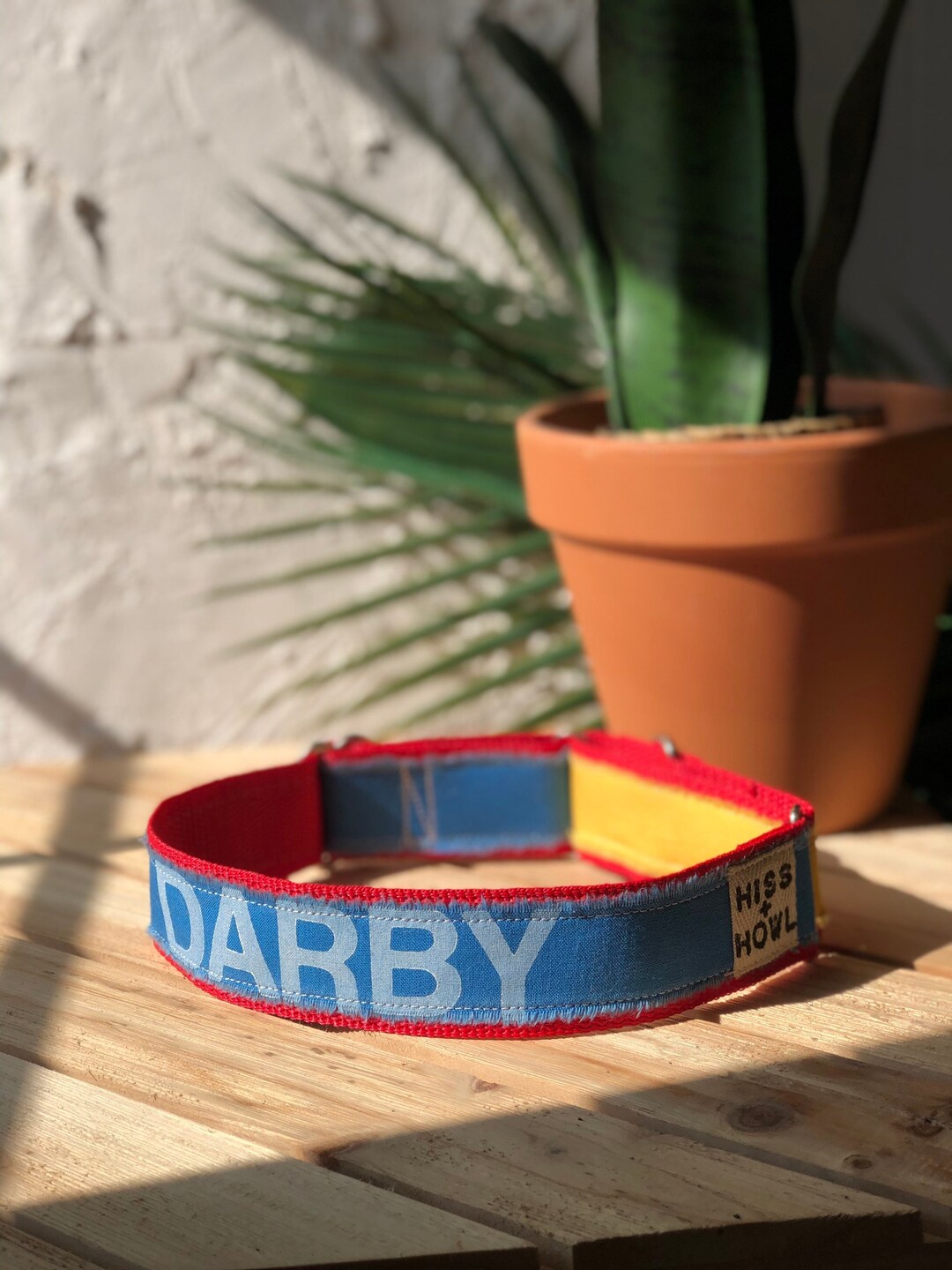 Primary Dog Collar in Martingale or Buckle - Etsy