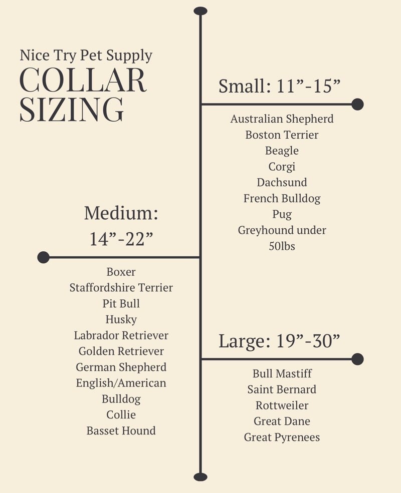 Small Lily Dale Dog Collar